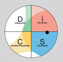 5 Interview Tips Using the DiSC Profile - Training Tools, Tips & Resources